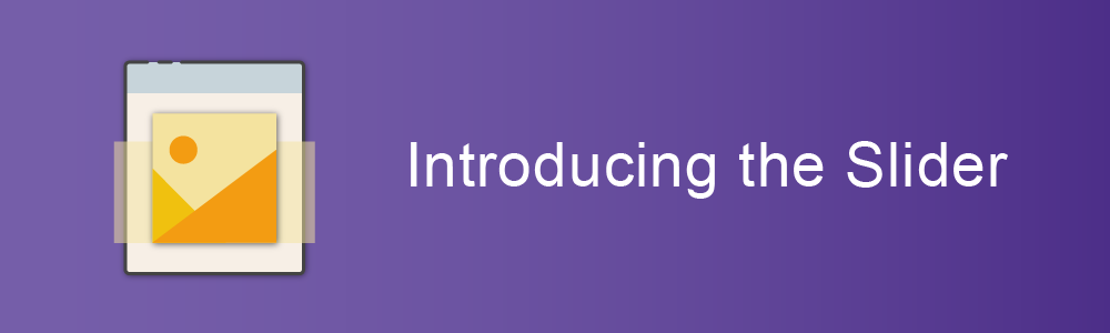 Form Widget | Introducing the Slider | Pro Tips | 麦客百科 | 麦客CRM